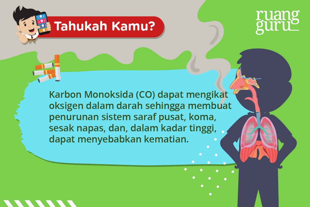 Ini yang Terjadi Pada Organ Tubuh Jika Kamu Berhenti Merokok | Biologi ...